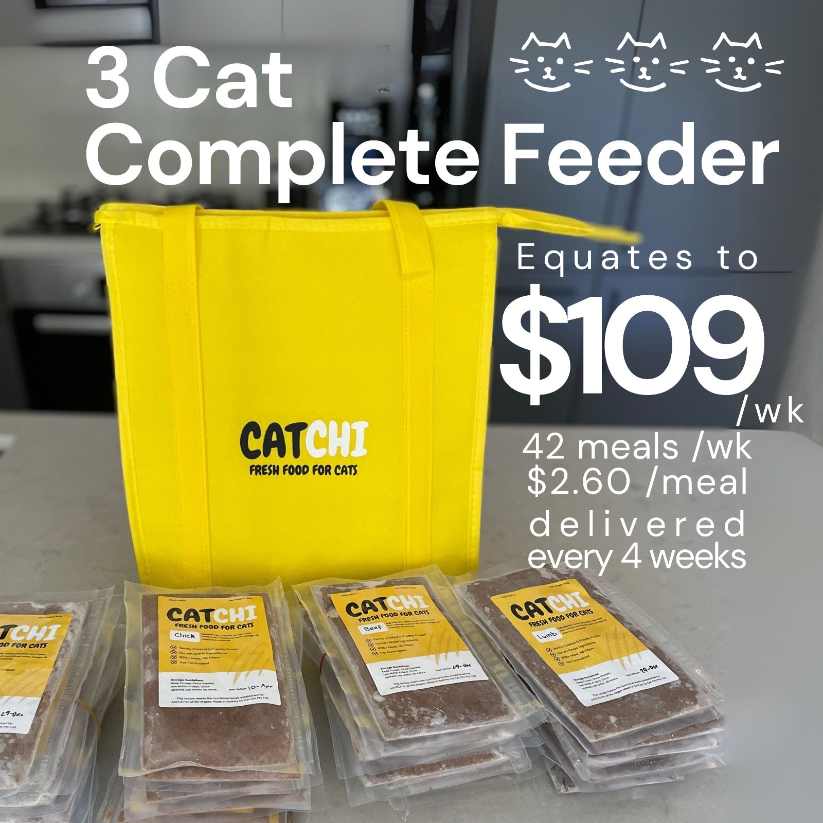 3 Cat Complete Feeder – CatChi