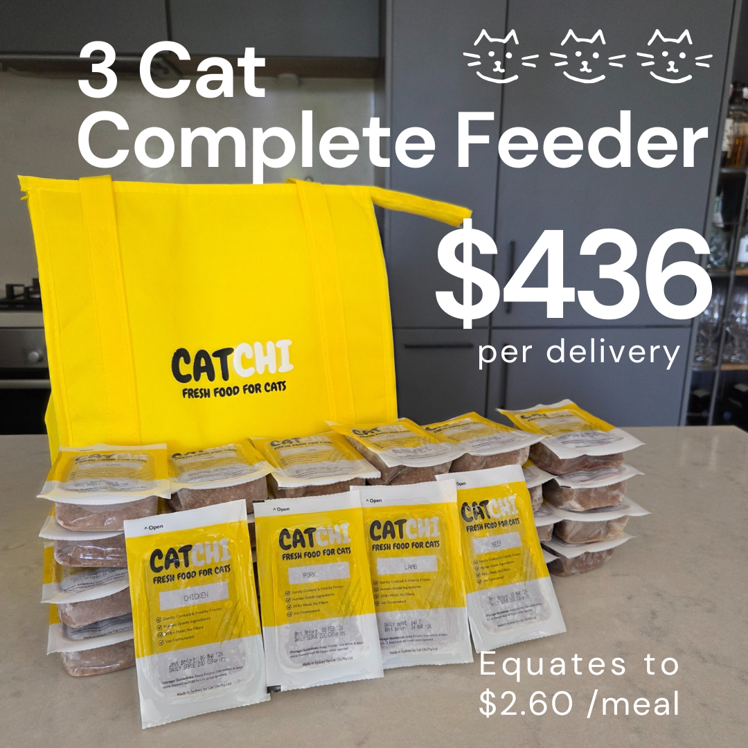 3 Cat Complete Feeder – CatChi